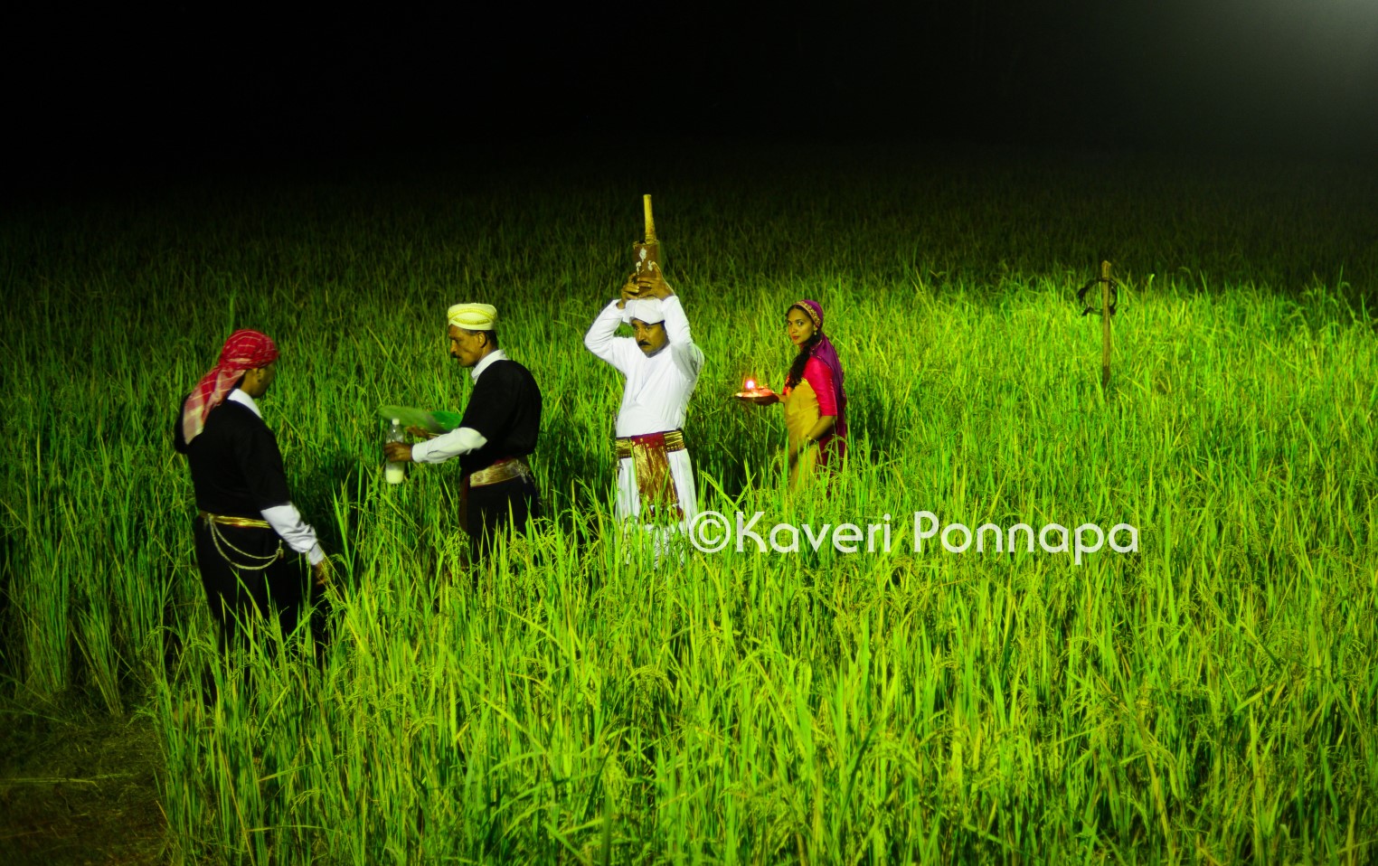 Puthari - Ceremonial Harvesting of the Rice Crop - The Vanishing Kodavas®